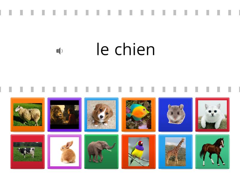 les animaux - Find the match