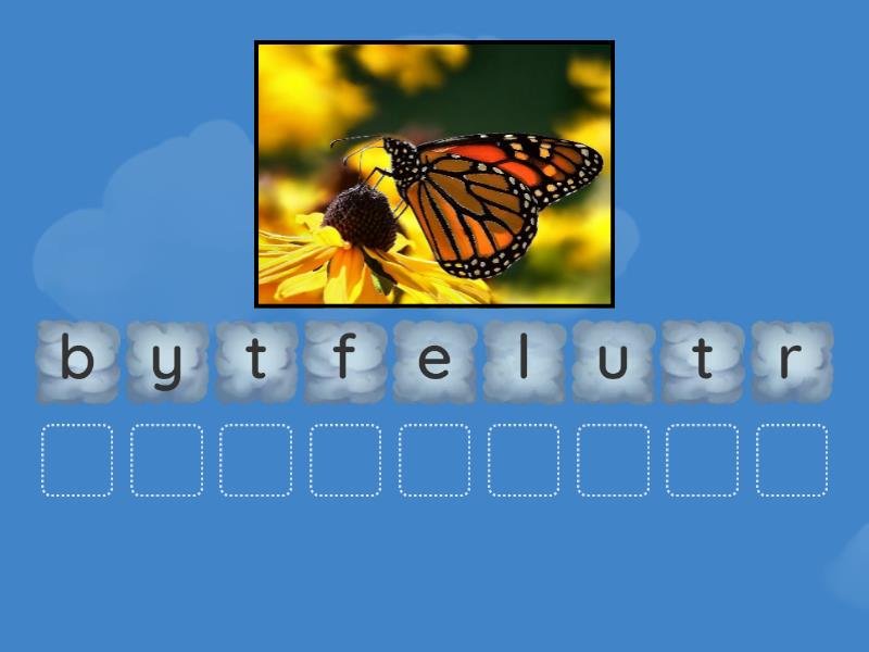 Unit 6 Minibeast 4to - Anagrama