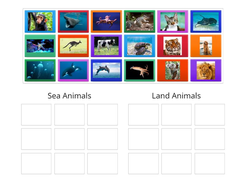 Sort Sea Animals and Land Animals - Group sort