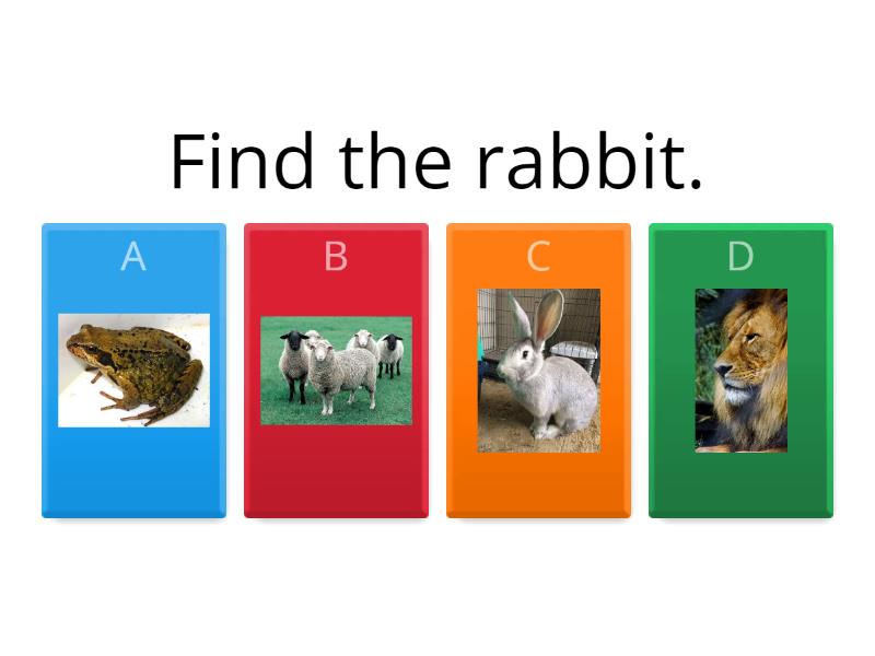 Animals - Grade 2 - Test - Quiz
