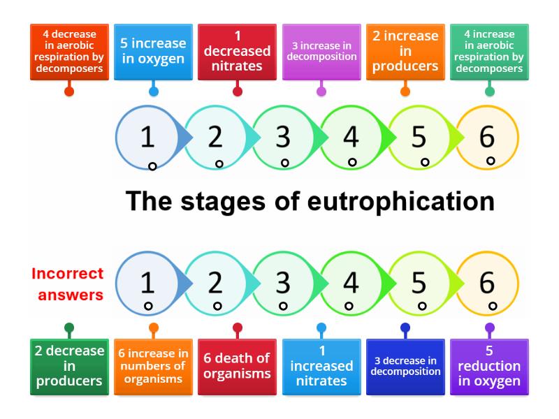 Eutrophication in order - Labelled diagram