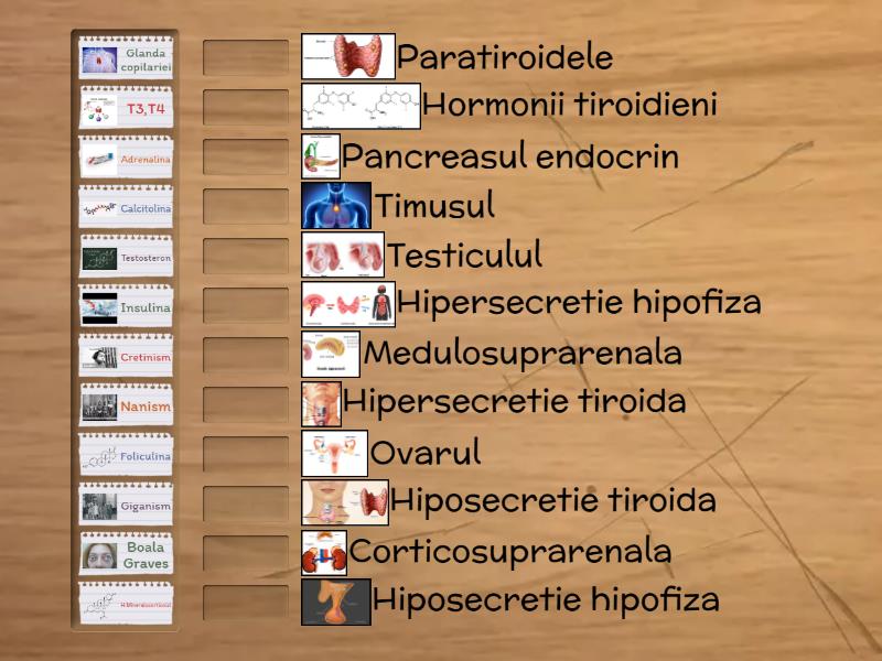 Recapitulare Glande endocrine - Match up