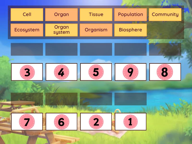 LEVELS OF BIOLOGICAL ORGANIZATION - Une las parejas