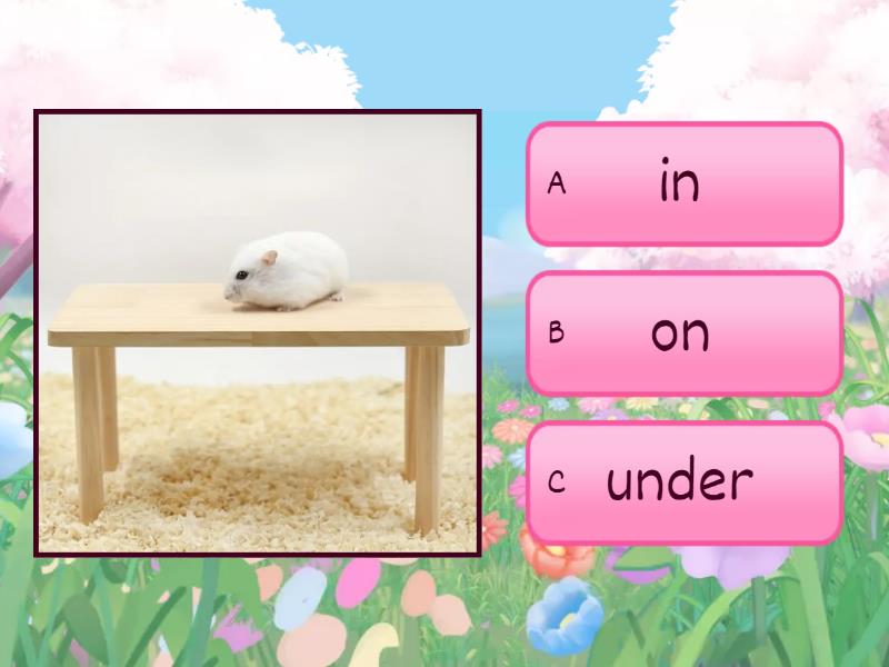 IN - ON - UNDER - Quiz