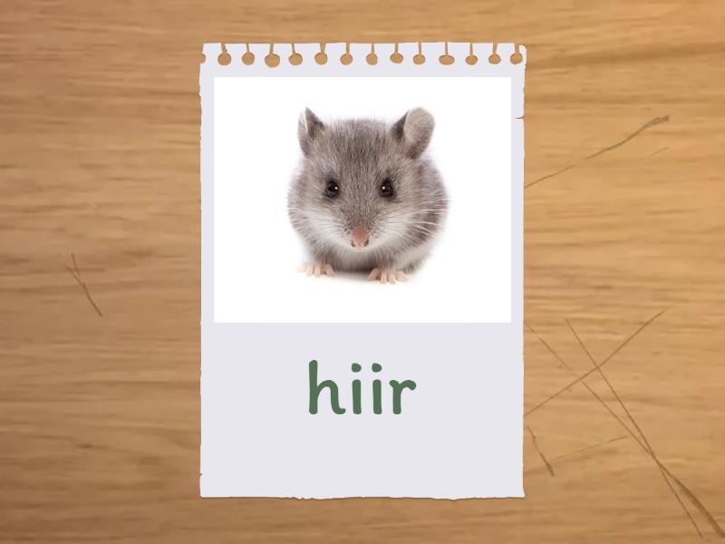 ILE 1. Unit 9. - Flash cards