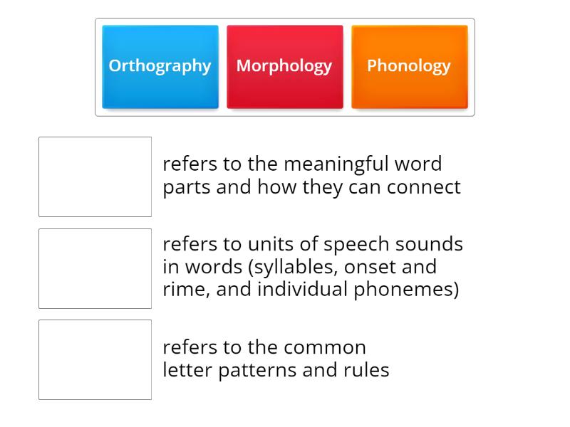 Triple Word Form Theory - Match up