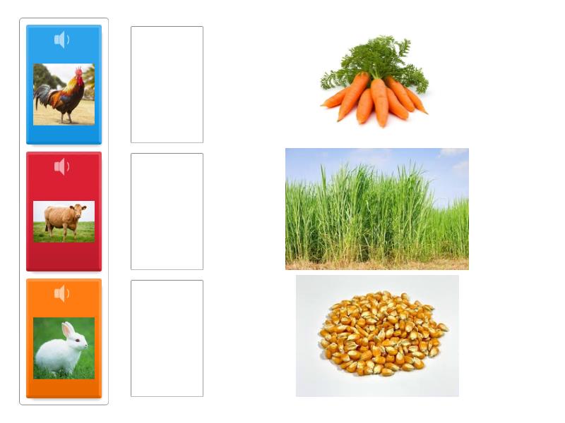memasangkan binatang dan makanannya - Match up memasangkan binatang dan makanannya - Match up