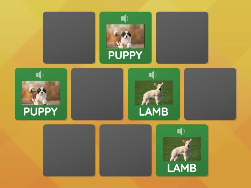 MEMORY GAME - BABIES - Matching pairs