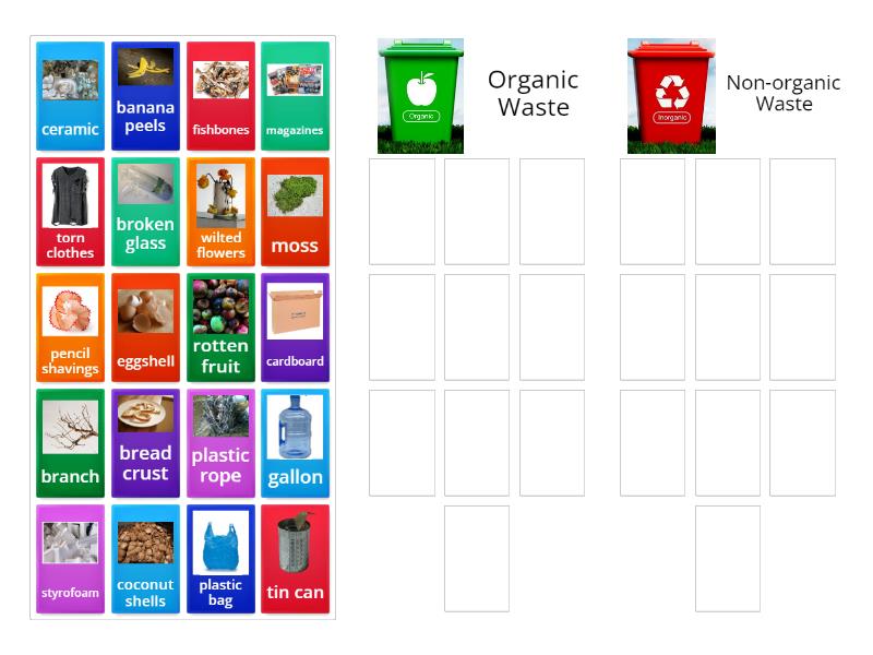Classify the waste into its bin! - Group sort