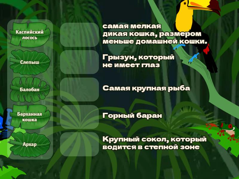 Животные занесенные в Красную книгу Казахстана Сопоставить