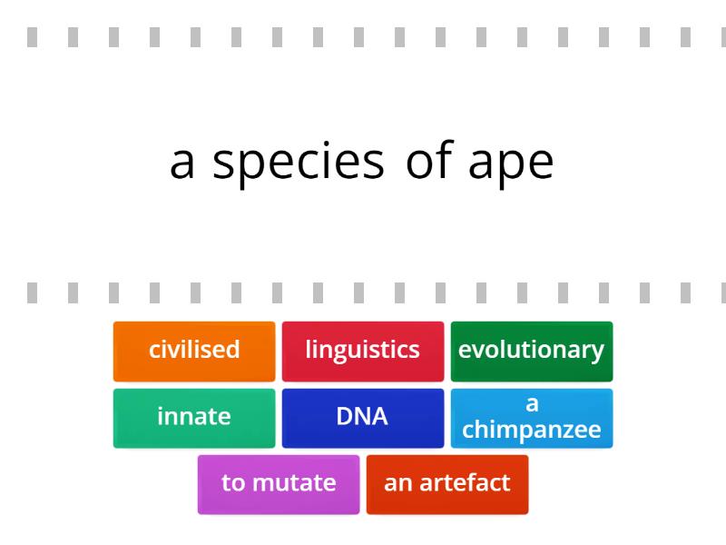 How humans evolved language - Find the match