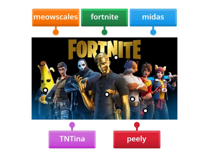 fortnite - Labelled diagram