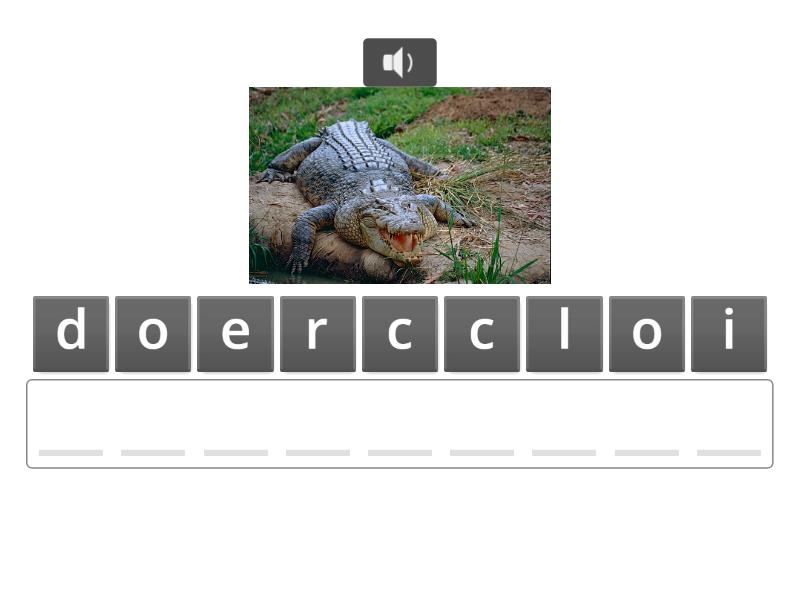 unit 7 Wild animals - Anagrama