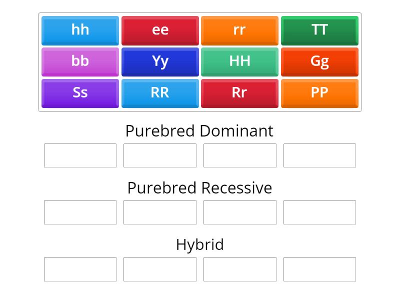 Purebred vs Hybrid - Group sort