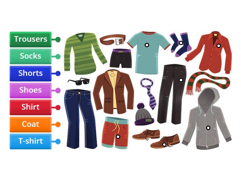 Kids - Labelled diagram