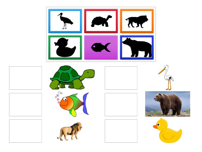 Match the shadows with animals - Match up