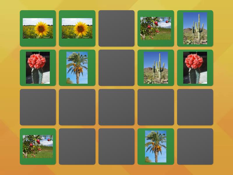 science - Matching pairs