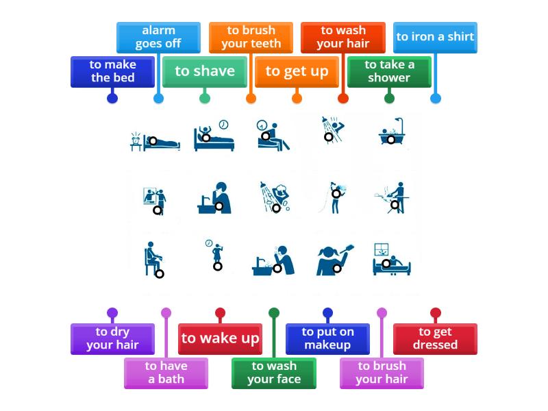 Daily routine - Labelled diagram