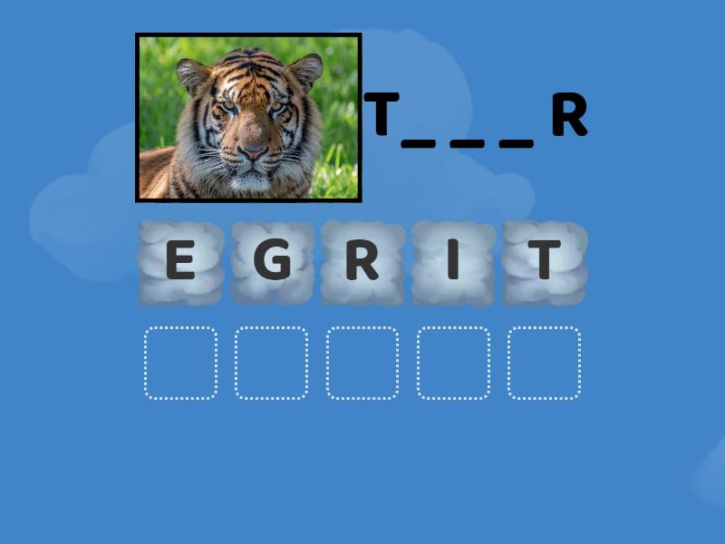 WILD ANIMALS - Anagram