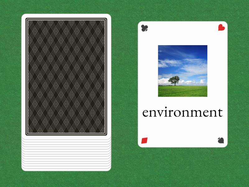 connect plus unit 7 lesson 3 - Random cards