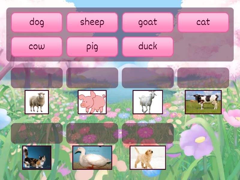 Cows in the Kitchen - Match up