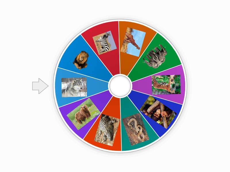 Wild animals - Spin the wheel