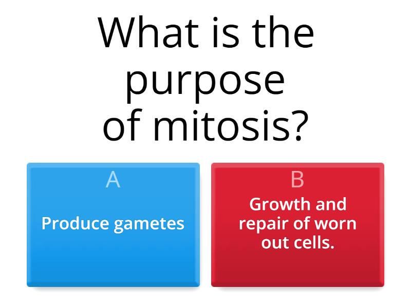 Meiosis and Mitosis - Quiz