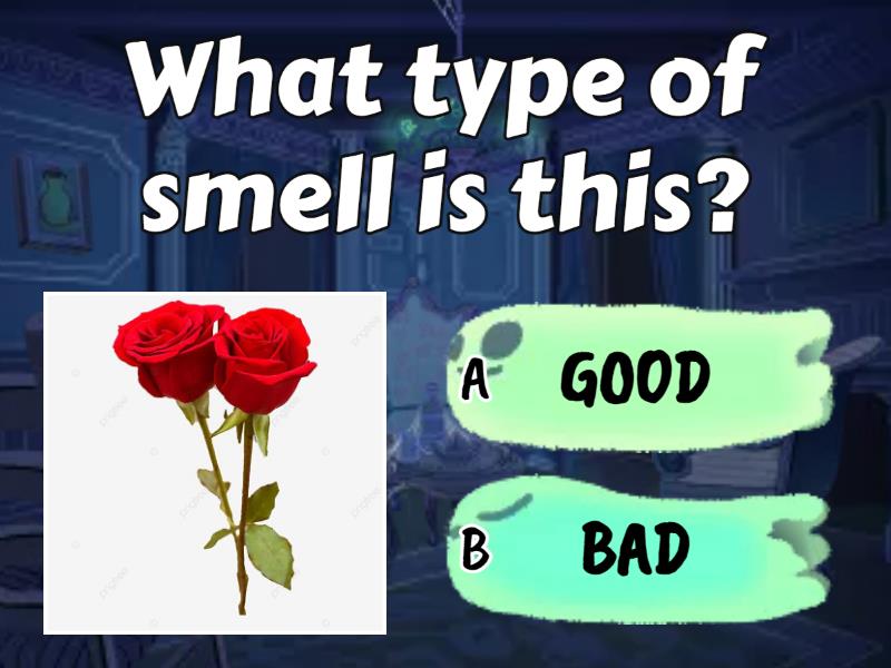 GOOD AND BAD SMELLS - Quiz