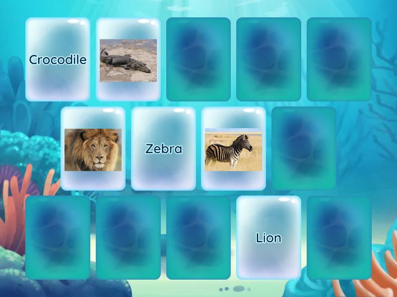 Animal Memory - Parejas