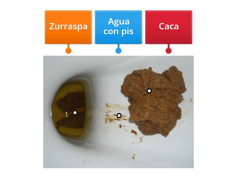 agua con pis caca zurrasp - Labelled diagram