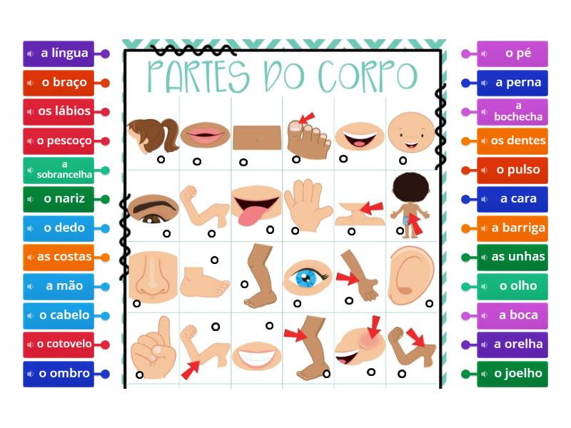 As partes do corpo humano - Labelled diagram