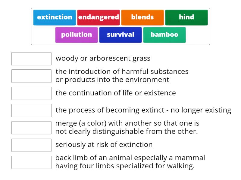 VOCABULARY - GIANT PANDA, RED PANDA - Match up