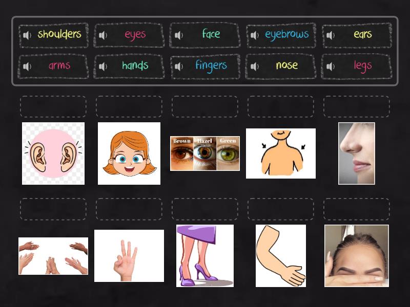 Parts of the body - Match up