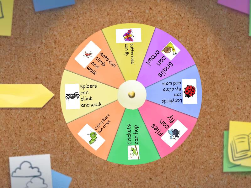 Insects, let´s learn - Random wheel