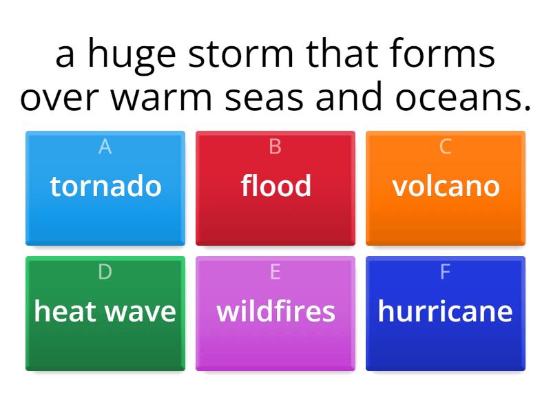 Social Studies - Natural Disaster - Quiz