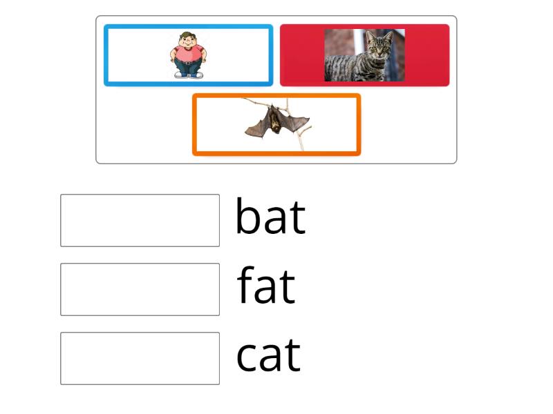 Match each picture with its given name. - Match up