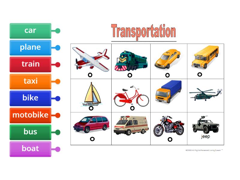 Transport - Labelled diagram