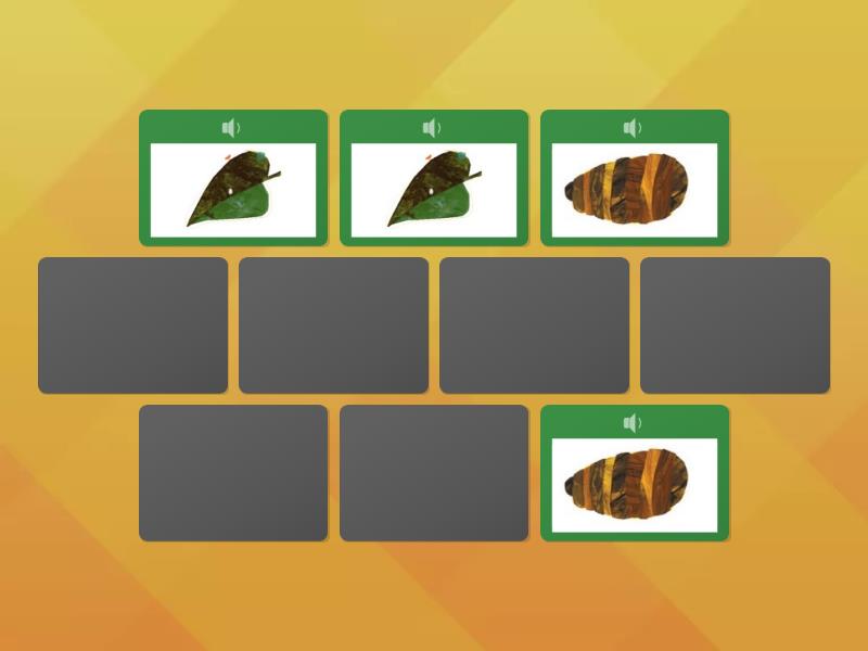 _Butterfly Life Cycle - Matching pairs