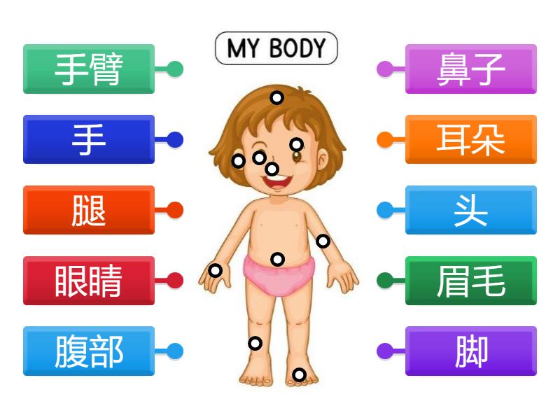MY BODY - Labelled diagram
