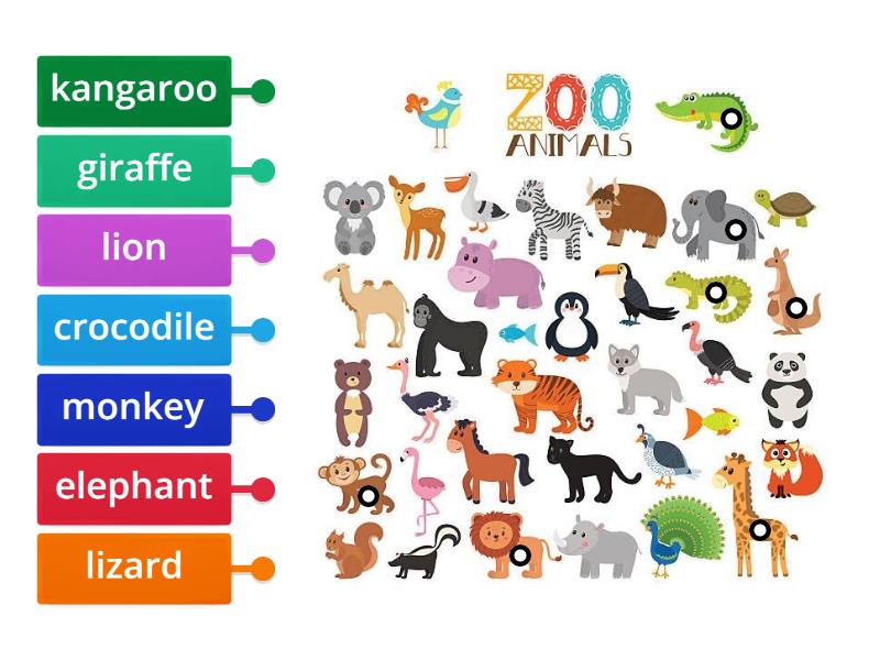 Animals - Labelled diagram