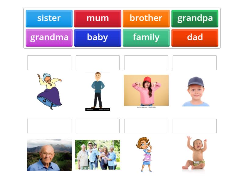 AS2 Unit 3Family - Match up