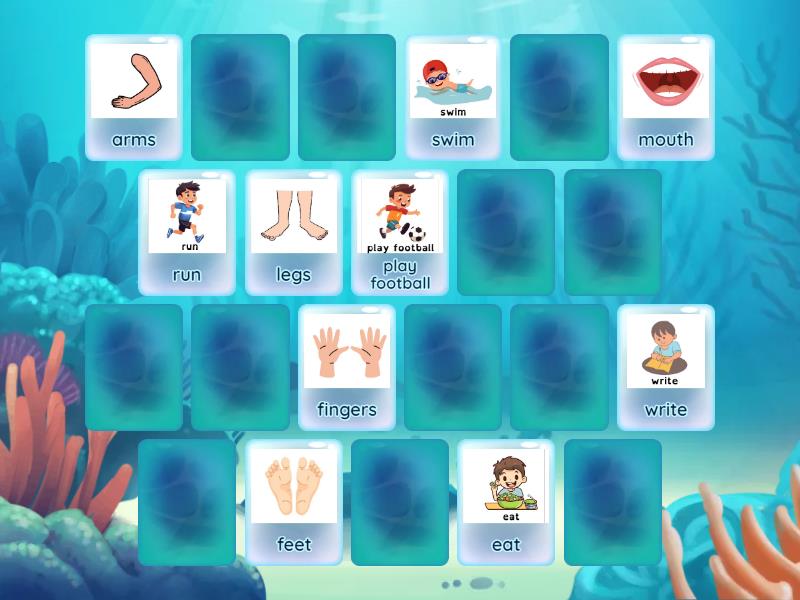 Memory game parts of body - Parejas