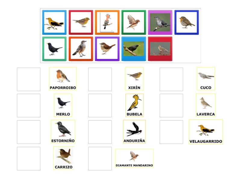 RELACIONA CADA IMAXE CO SEU PICTOGRAMA E O SEU NOME. - Match up