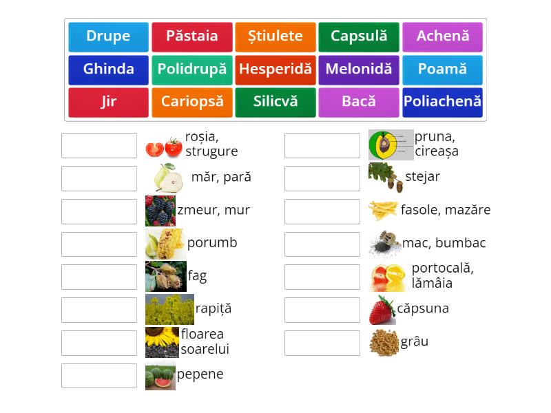 Tipuri de fructe - Une las parejas