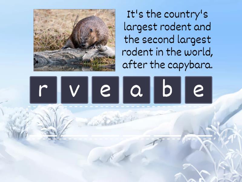 Countries & Cultures Lesson 21 - Anagrama