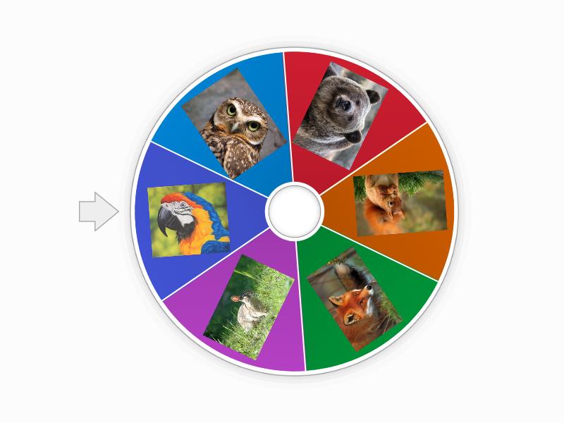 Animal wheel - Spin the wheel