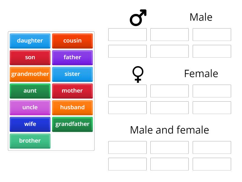 WW1 Unit 1 ex.3 Family - Group sort