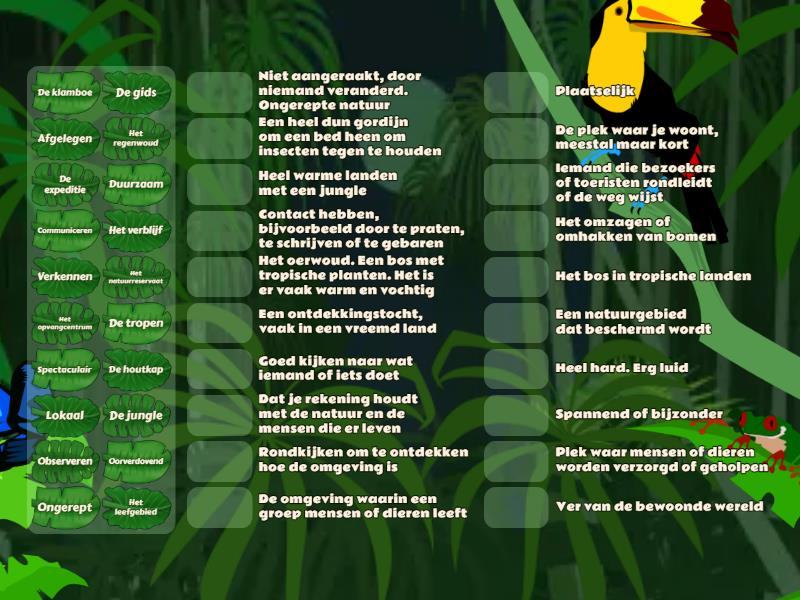 Staal Taal groep 6 Thema Jungle les 1 - Verbinden
