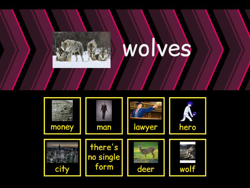 Match the singular and plural forms of the words! - Find the match