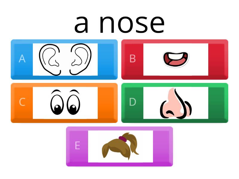 Body Parts: Facial Features - Quiz